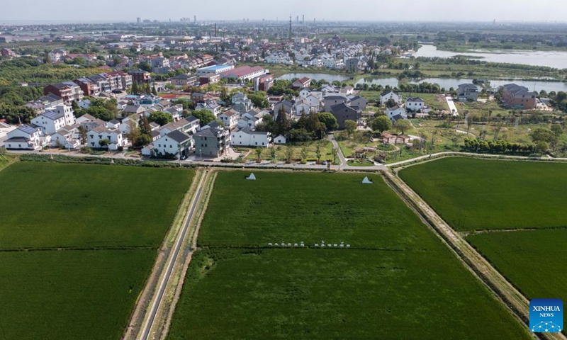 Green transformation achieved in Lujiawan Village, E China's Zhejiang ...