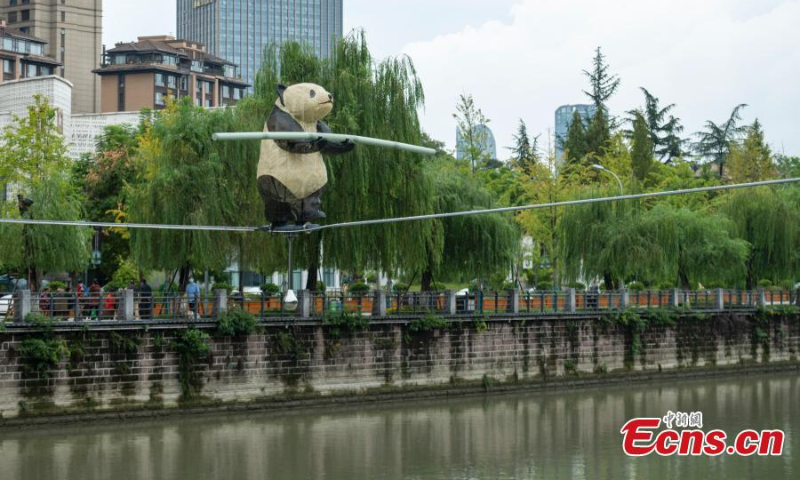 'Kungfu' panda 'walks' tightrope in Chengdu - Global Times