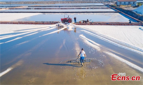 Salt field embraces harvest in Hebei - Global Times