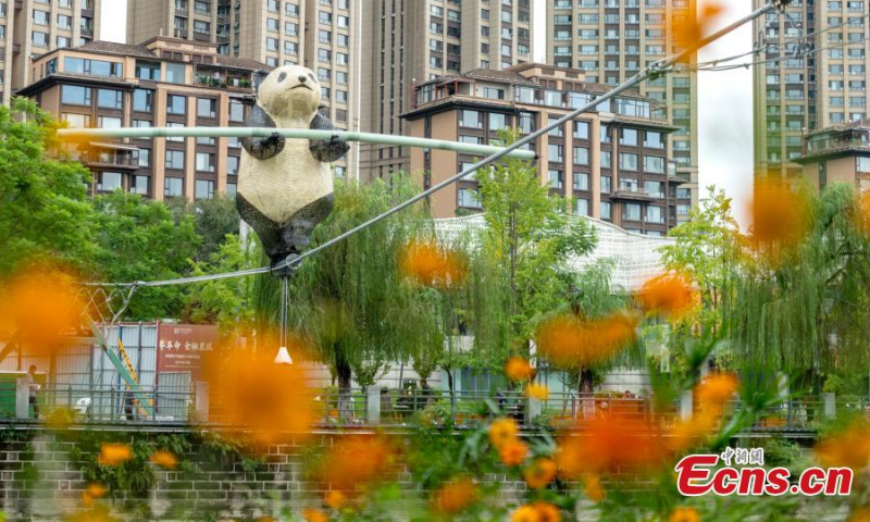 'Kungfu' panda 'walks' tightrope in Chengdu - Global Times