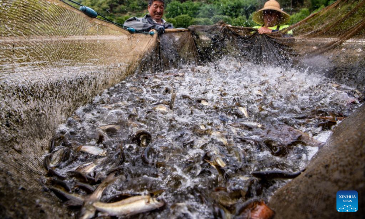 Protecting indigenous fish in Yunnan - Global Times