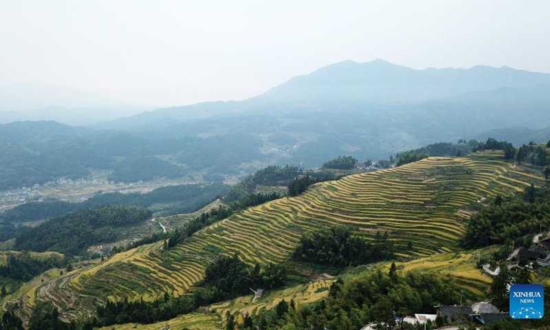 Farmers work in Ziquejie Terraces in China's Hunan - Global Times
