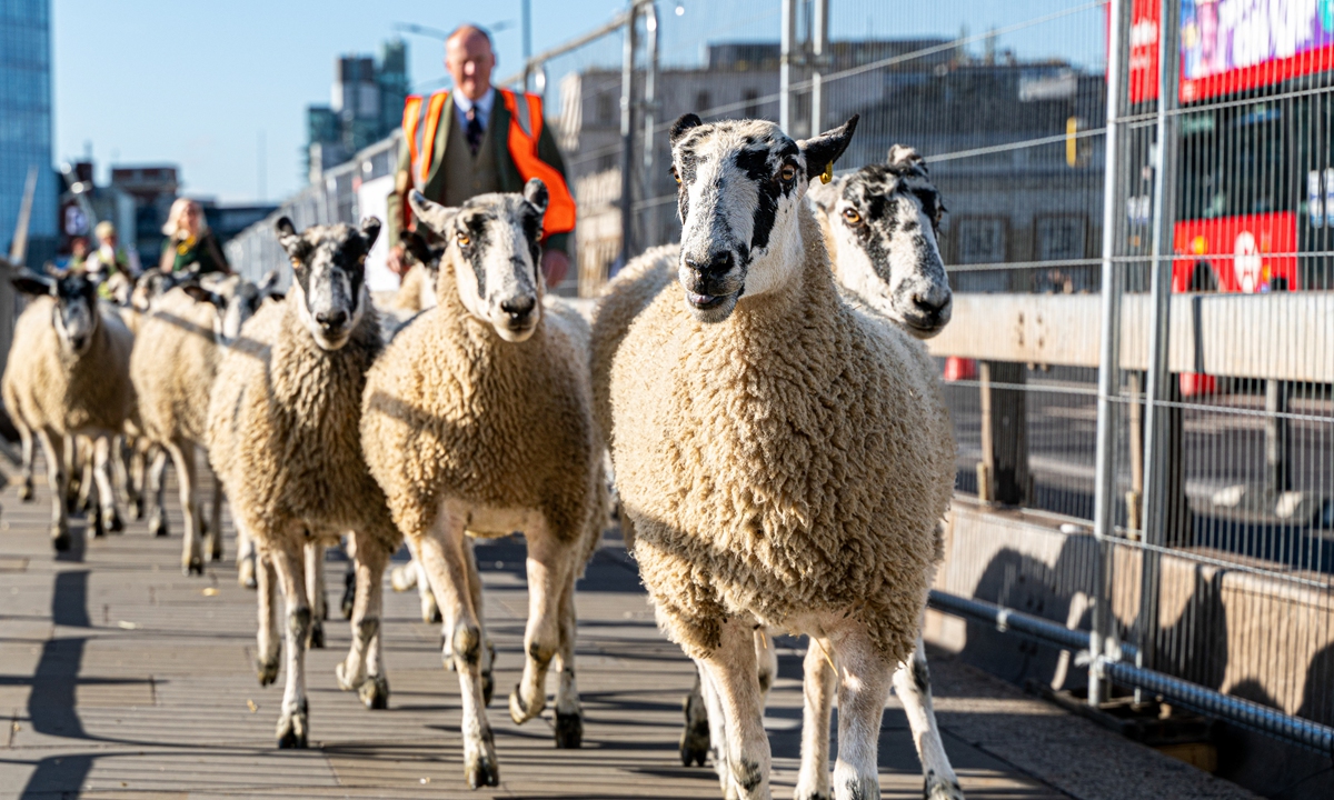 Follow the leader - Global Times