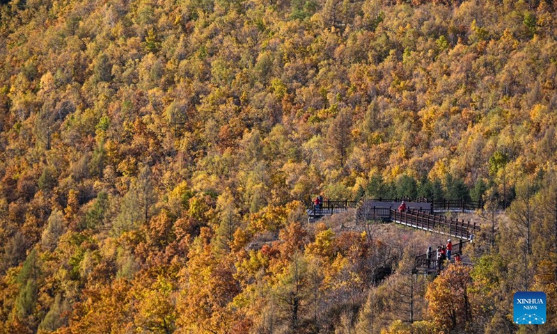 Autumn scenery at Shidawan scenic spot, N China - Global Times