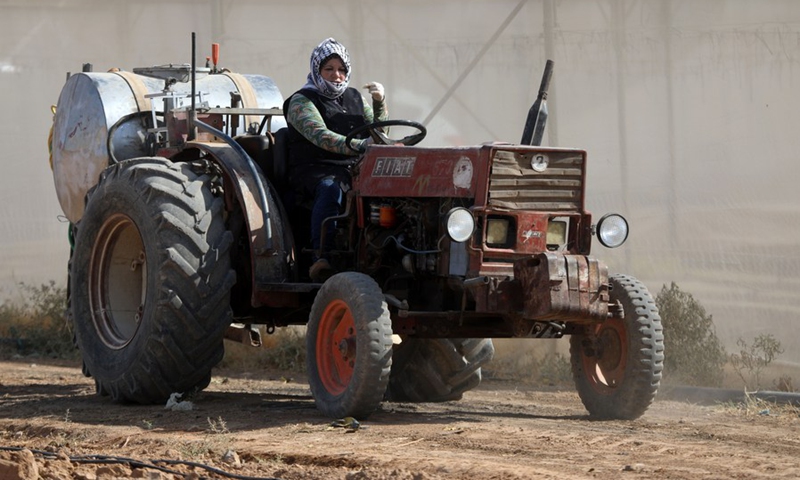 First female tractor driver in Palestine - Global Times
