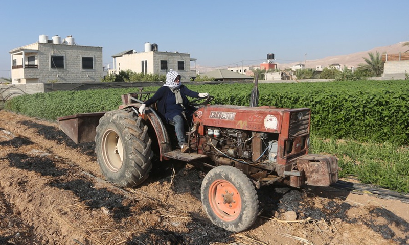 First female tractor driver in Palestine - Global Times