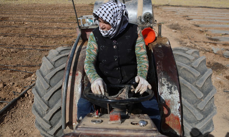 First female tractor driver in Palestine - Global Times