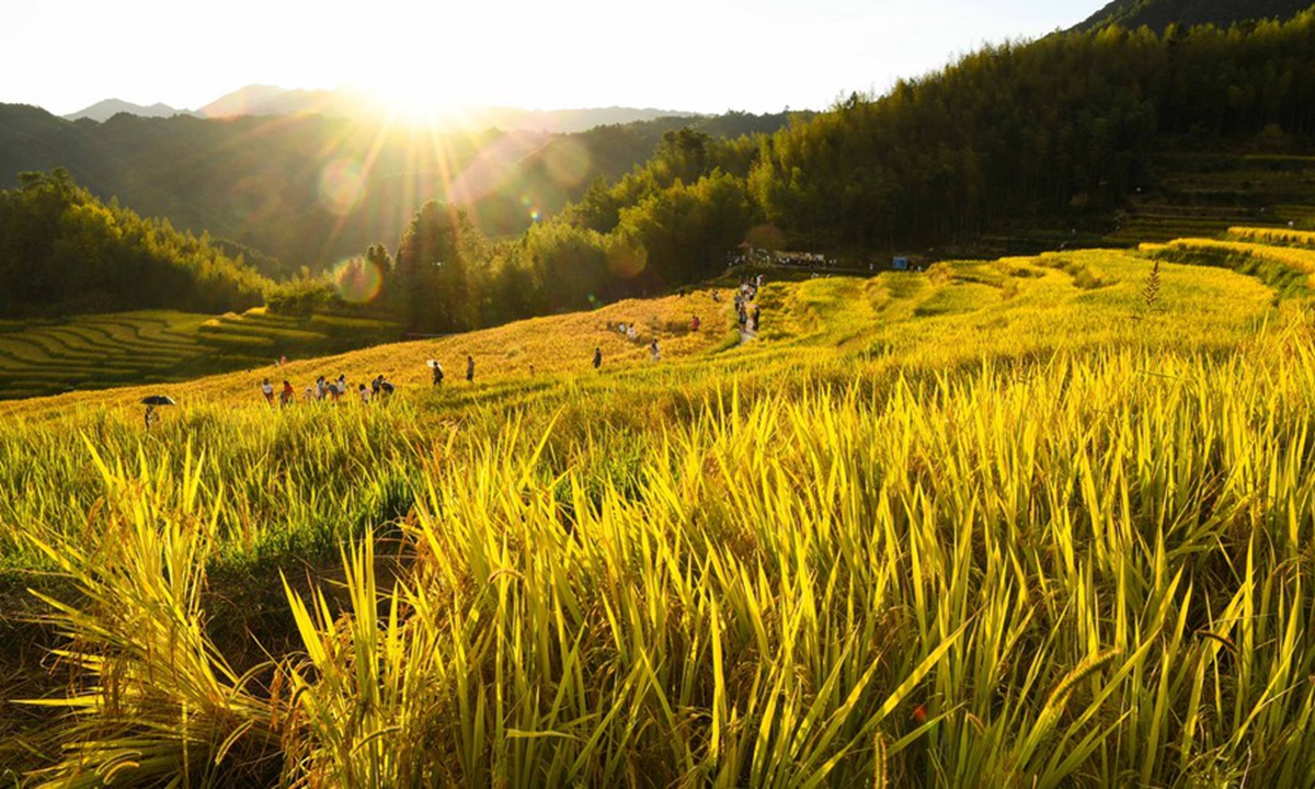 Autumn scenery across China - Global Times