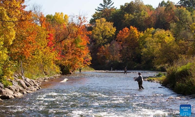 Migration of trouts to spawning grounds in Canada - Global Times