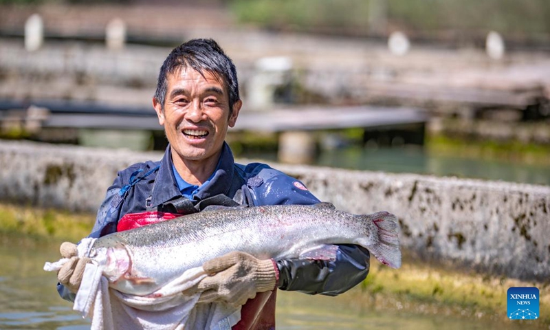 Cold-water fish farming increases villagers' income in SW China ...