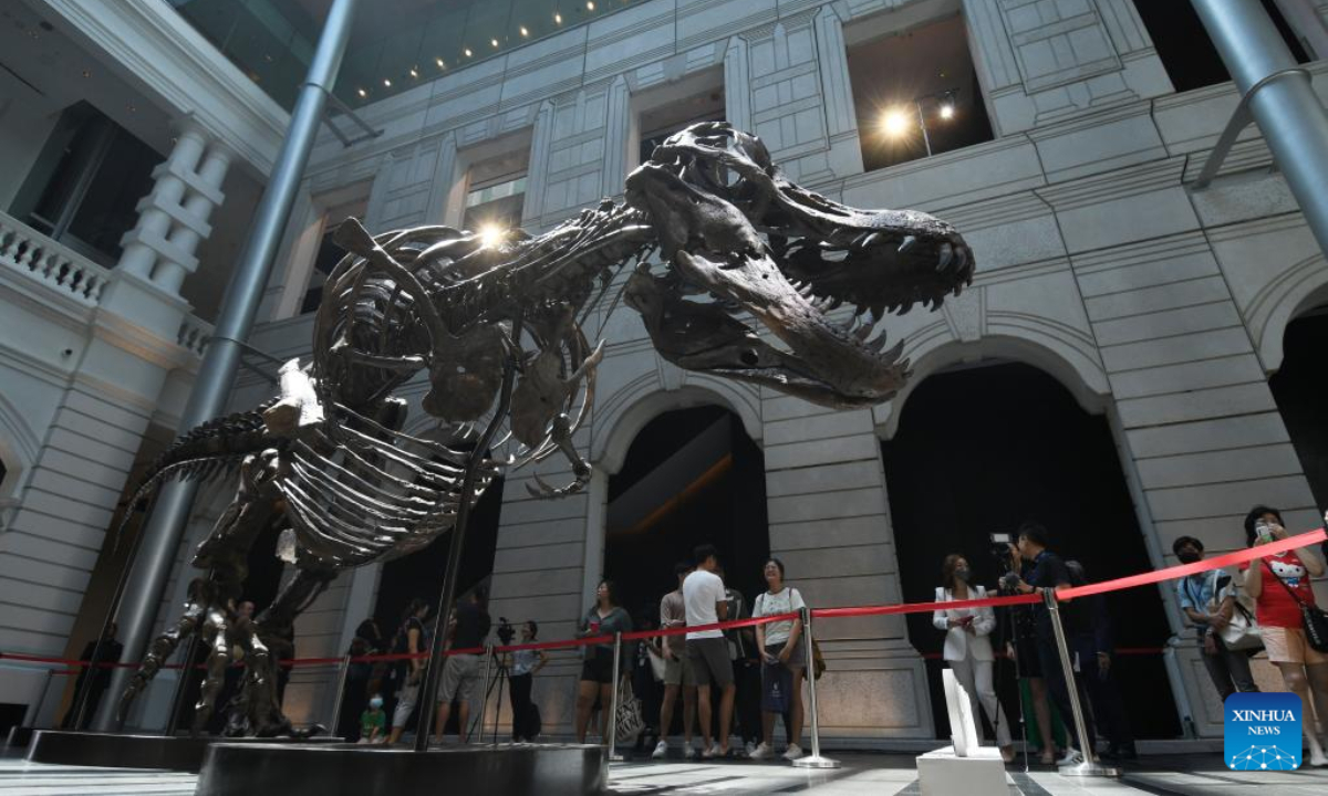 Skeleton of Tyrannosaurus Rex displayed in Singapore - Global Times
