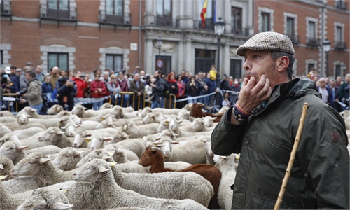 Stay with the flock - Global Times