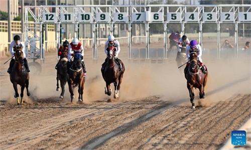 Horse racing season kicks off in Kuwait - Global Times