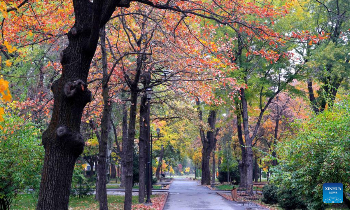 Autumn scenery at Oak Park in Bishkek, Kyrgyzstan - Global Times