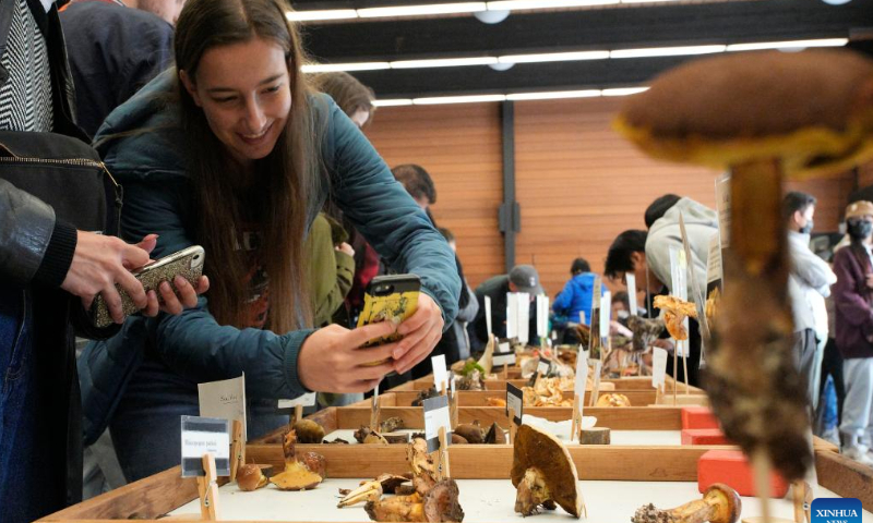 Vancouver Mushroom Show held in Canada - Global Times