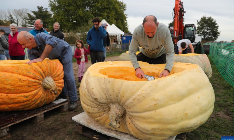 People compete in pumpkin regatta in Belgium - Global Times