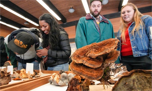 Vancouver Mushroom Show held in Canada - Global Times