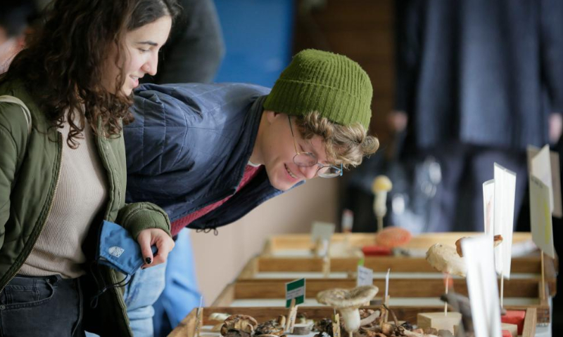 Vancouver Mushroom Show held in Canada - Global Times