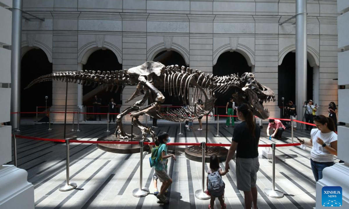 Skeleton of Tyrannosaurus Rex displayed in Singapore - Global Times