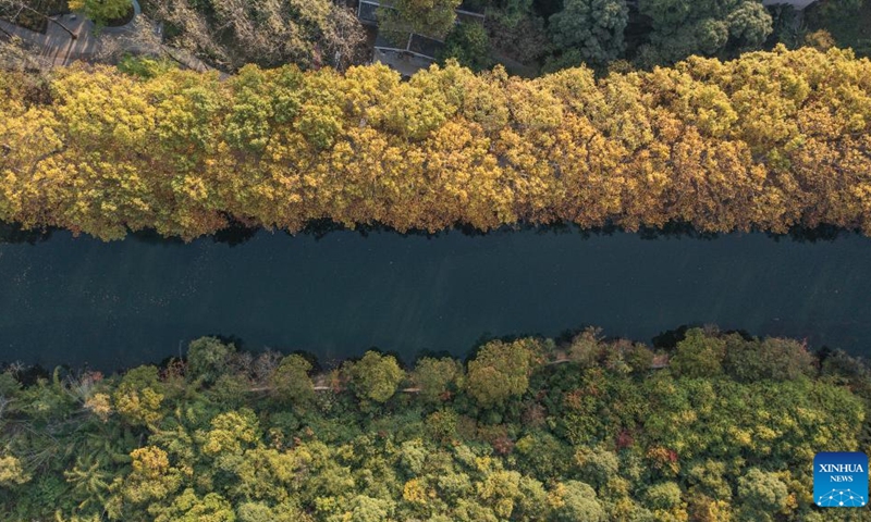 Autumn scenery of Huaxi national city wetland park in Guiyang ...
