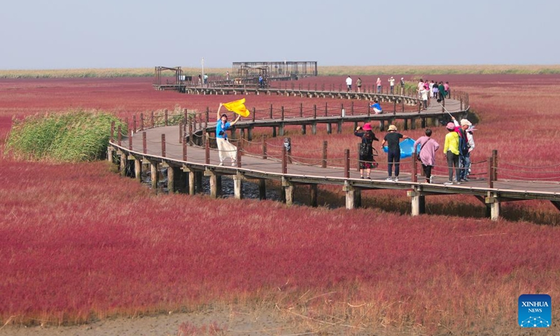 In pics: Liaohe Delta in NE China's Liaoning - Global Times