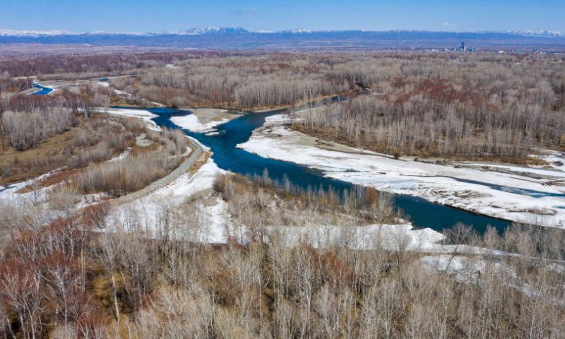 Views of wetland parks in northwest China's Xinjiang - Global Times