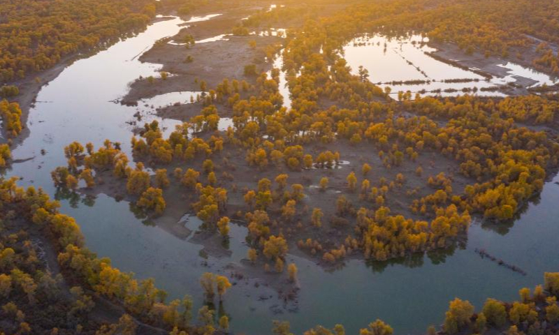 Views of wetland parks in northwest China's Xinjiang - Global Times