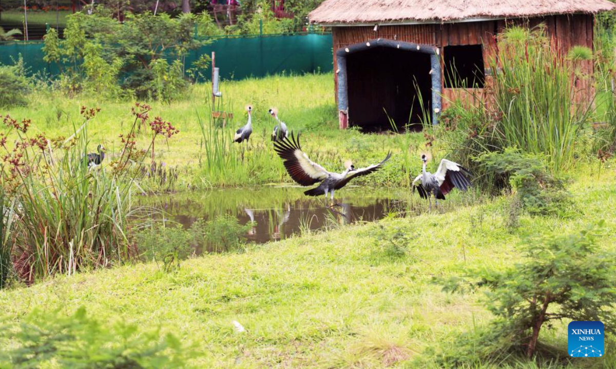 Kigali accredited as int'l wetland city - Global Times