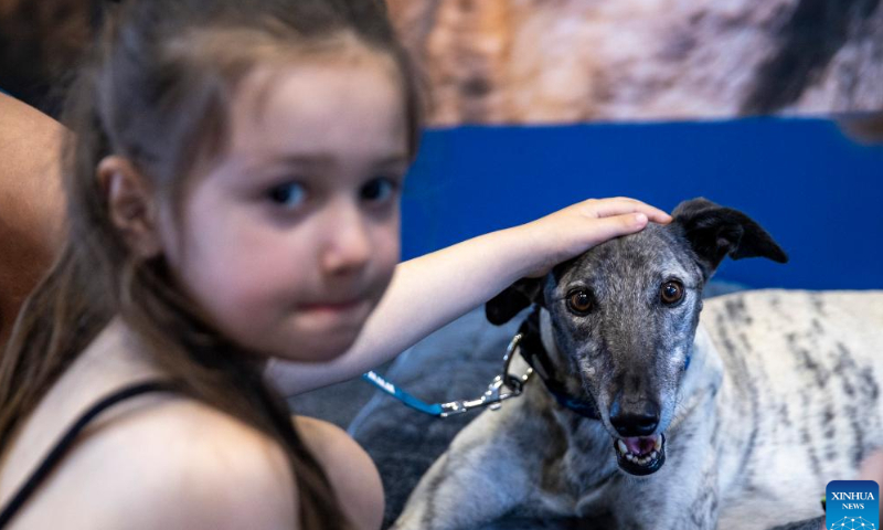 National pet show held in Sydney, Australia - Global Times