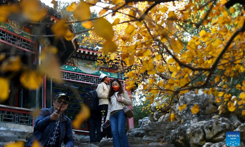 Autumn scenery in Beijing - Global Times