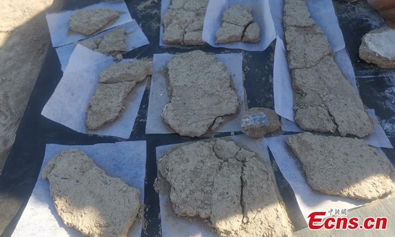 Large number of relics unearthed in Tang ruins in Xinjiang - Global Times