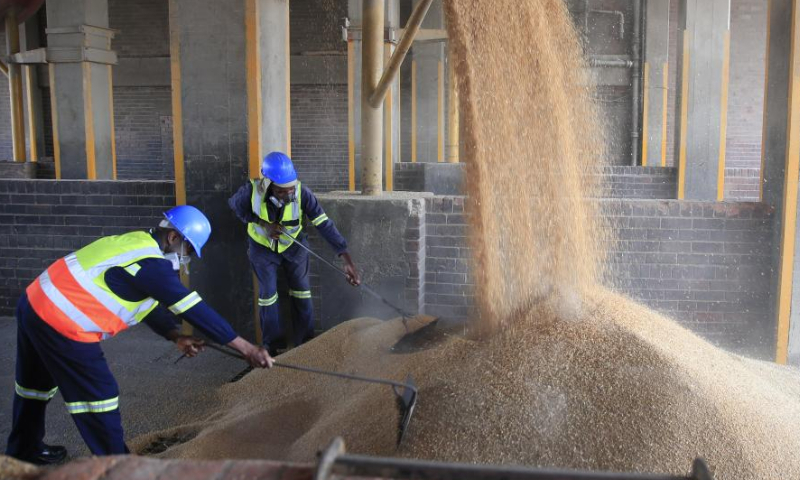 Zimbabwe targets food security with increased wheat production - Global ...