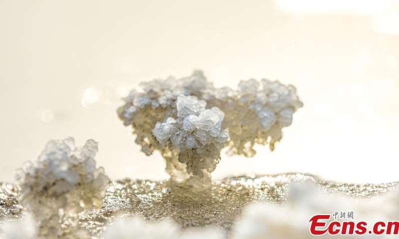 Salt crystals form on Salt Lake in Shanxi - Global Times