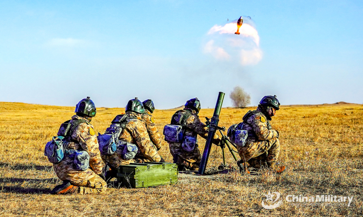 Fireteam conducts combat training exercise - Global Times