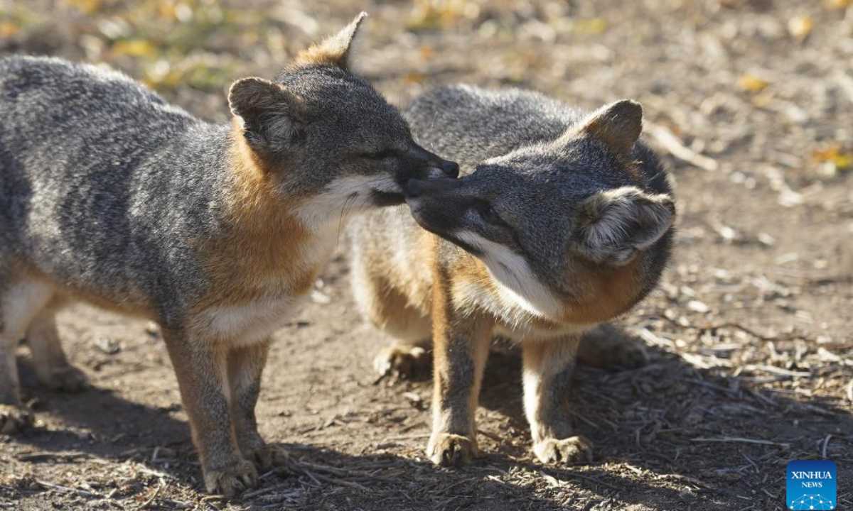 UN conference on biological diversity pivotal for future of ...