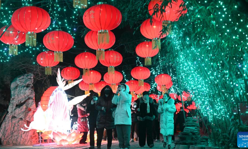 People tour lantern show during Spring Festival holiday in Tianjin, N ...