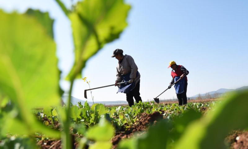 Arrival of Yushui sees wave of spring farming activities across China ...