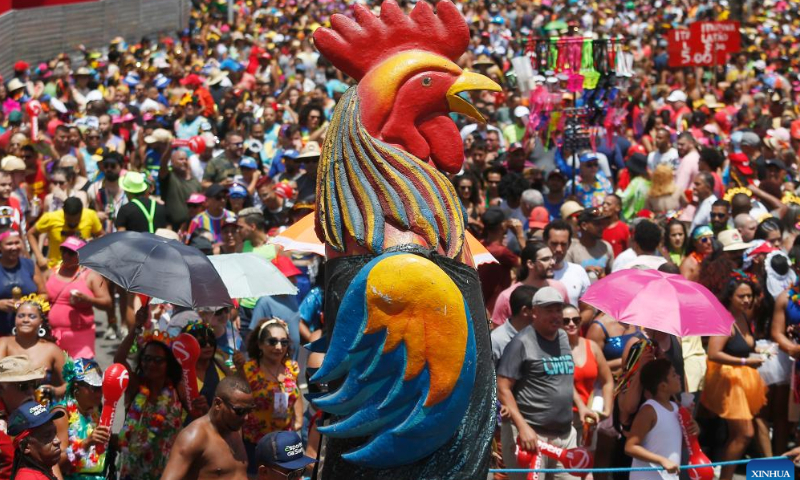 Revelers participate in carnival in Brazil - Global Times