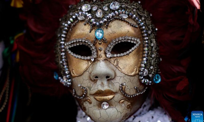 Revelers participate in carnival in Brazil - Global Times