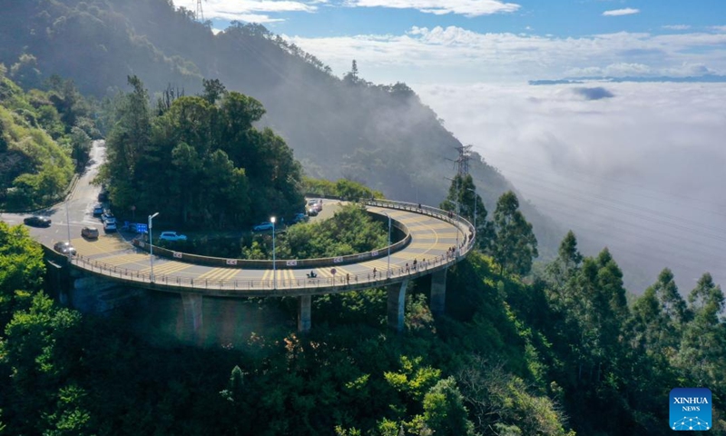 Advection fog on Guling Hill, SE China - Global Times