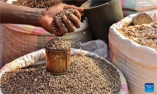 Penja white pepper produced in Cameroon's Littoral Region enters ...