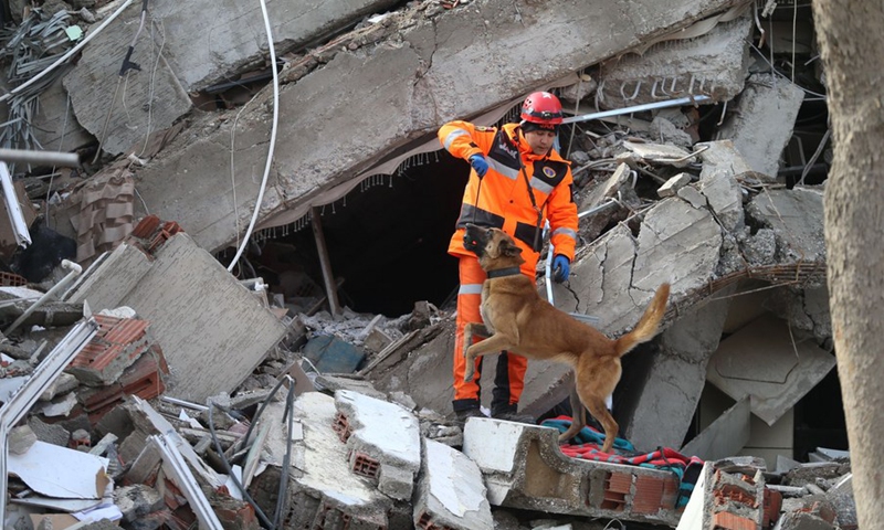 Dogs offer great help in quake rescue missions in Türkiye - Global Times