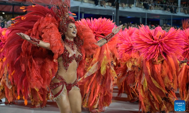 Revelers participate in carnival parade in Rio de Janeiro, Brazil - Global Times