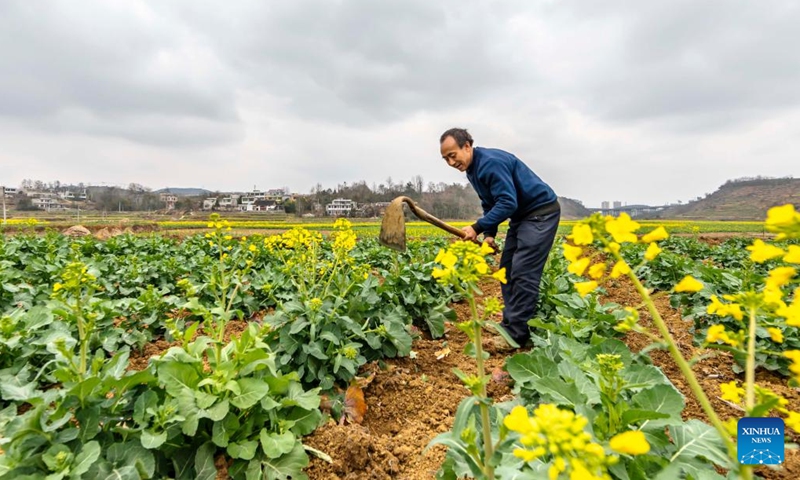 Spring farming underway across China - Global Times