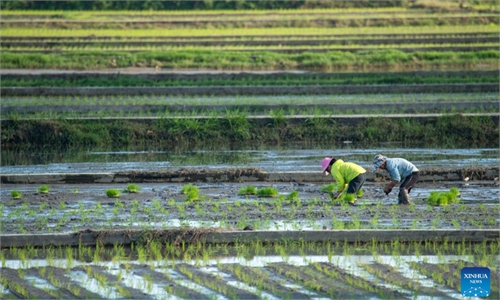 China' s spring sowing off to early start: agricultural ministry ...