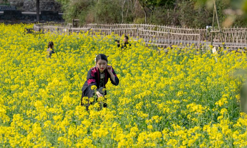 Visitors enjoy blooming flowers across China - Global Times