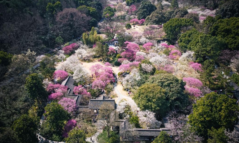 Spring scenery of Zhejiang, E China - Global Times