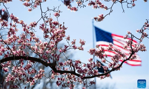 Spring flowers in Washington, DC - Global Times