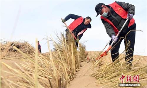 Gansu fight desertification with straw barriers - Global Times
