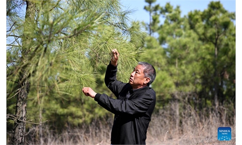 Pic story of veteran forestry worker in E China - Global Times